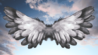 Angelology: The Study Of Angels | Think About Such Things