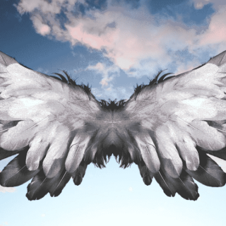 17 Amazing Facts About Angels You Probably Never Knew | Think About ...