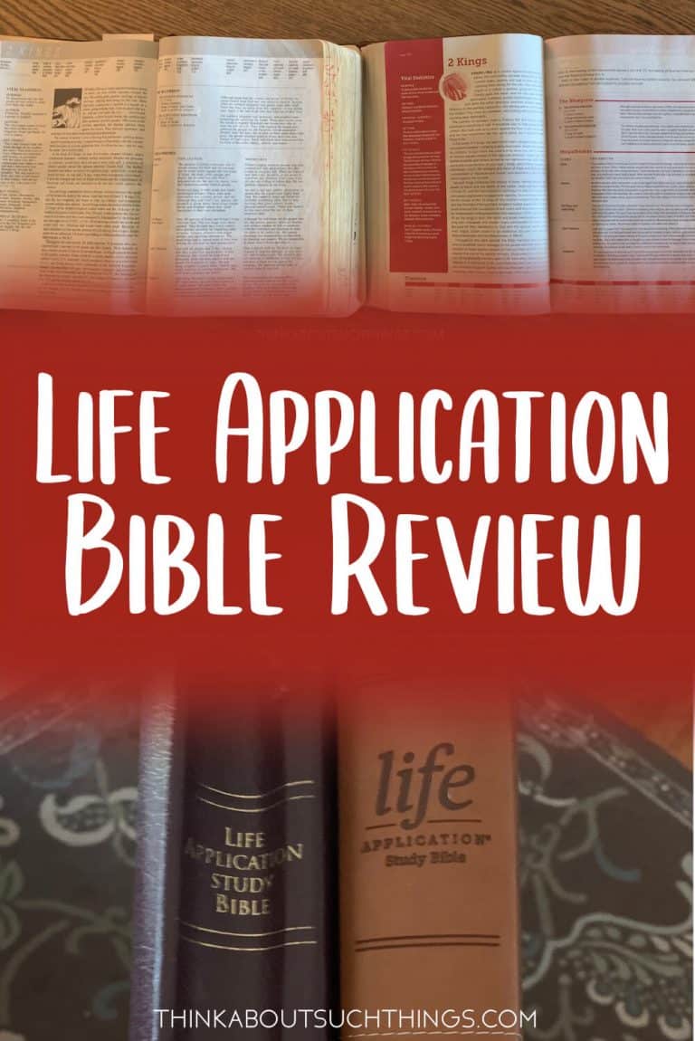 The New Life Application Study Bible Review (NIV) | Think About Such Things