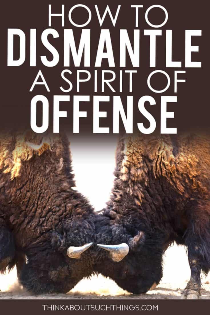 How To Dismantle A Spirit Of Offense | Think About Such Things