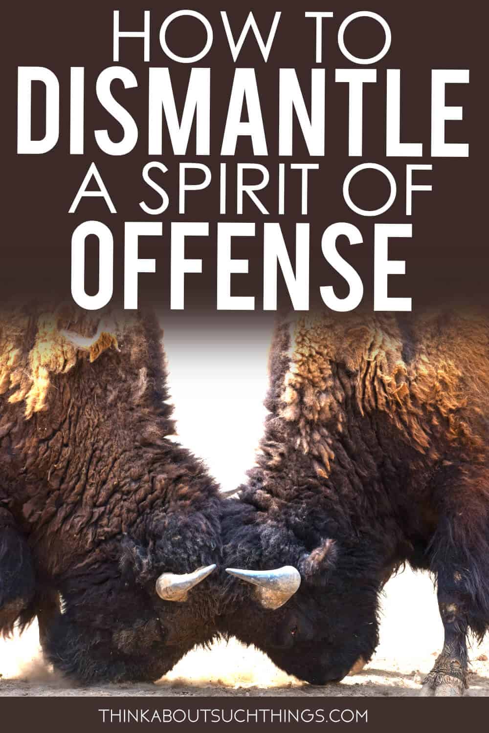 How To Dismantle A Spirit Of Offense | Think About Such Things