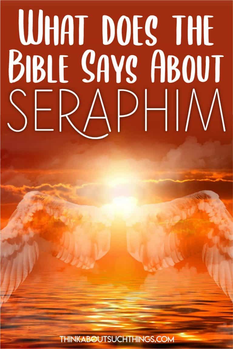Seraphim: Seraph Angels Of The Bible | Think About Such Things