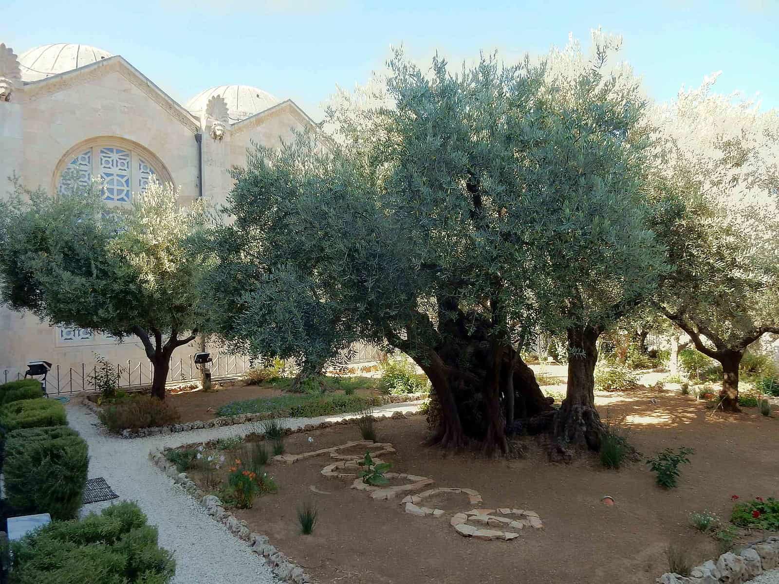 Powerful Lessons From The Agony In The Garden | Think About Such Things