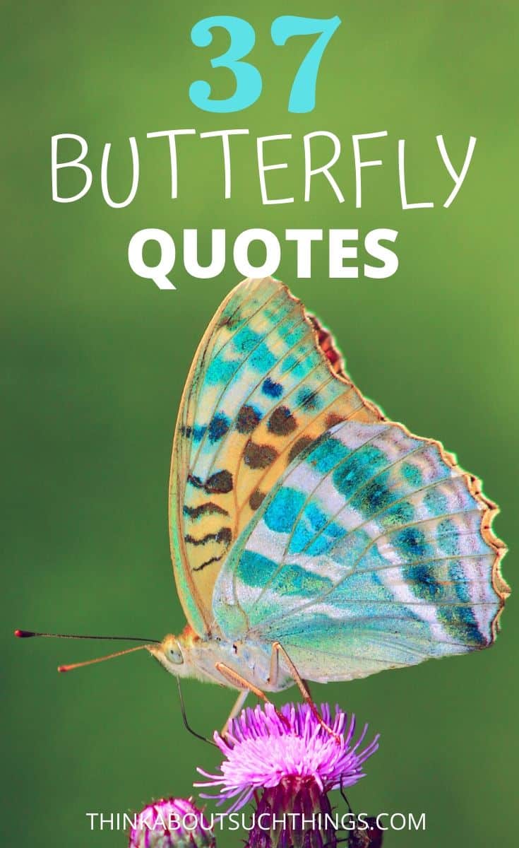 37 Inspirational Butterfly Quotes To Lift Up Your Day | Think About ...