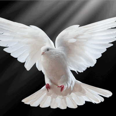 7 Incredible Characteristics Of The Holy Spirit | Think About Such Things