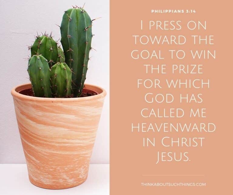 24 Uplifting Bible Verses About NOT Giving Up | Think About Such Things