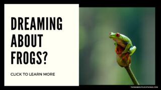 Frogs In The Bible: Pictures, Meaning, And Other Facts | Think About ...