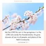 17 Beautiful Spring Bible Verses To Glean From | Think About Such Things