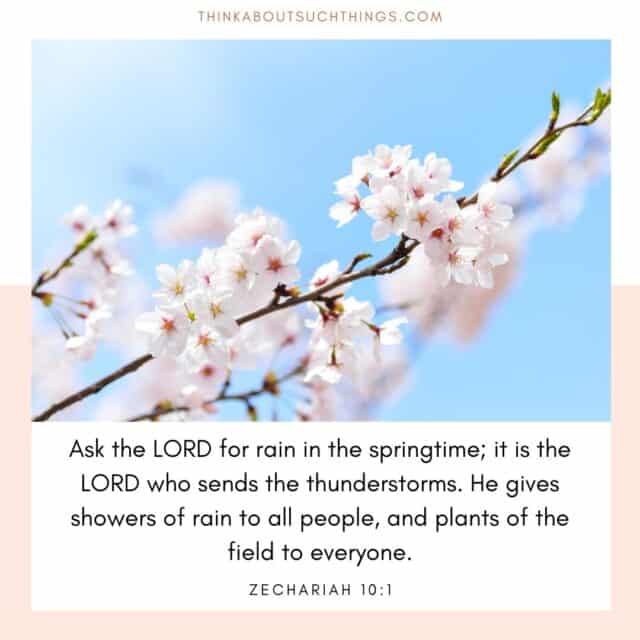 17 Beautiful Spring Bible Verses To Glean From | Think About Such Things