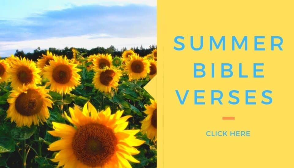 20 Interesting Bible Verses About Seasons | Think About Such Things