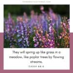 17 Beautiful Spring Bible Verses To Glean From | Think About Such Things