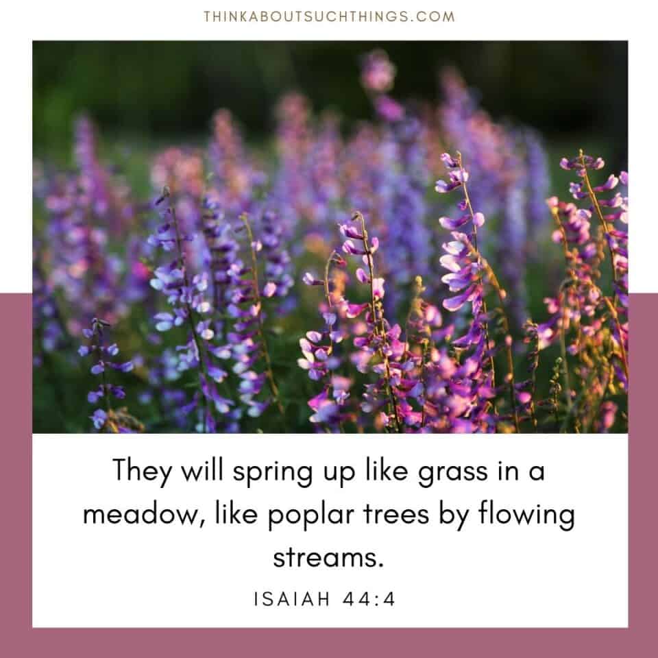 17 Beautiful Spring Bible Verses To Glean From | Think About Such Things