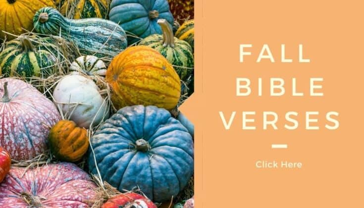 20 Interesting Bible Verses About Seasons | Think About Such Things