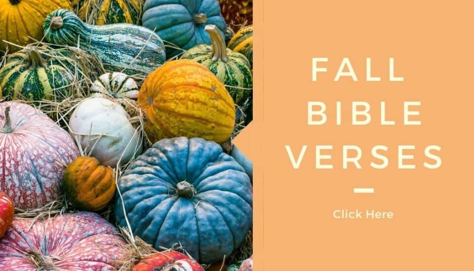20 Interesting Bible Verses About Seasons | Think About Such Things