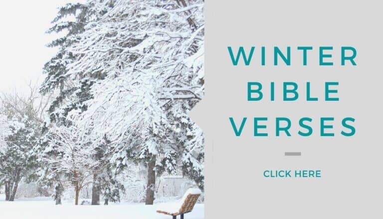 20 Interesting Bible Verses About Seasons | Think About Such Things