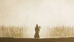 Outline Of The Book Of Ruth: Basic & Detailed Outlines | Think About ...