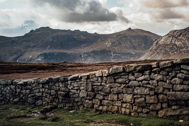 The Hedge Of Protection: What It Is And How To Pray For One | Think ...