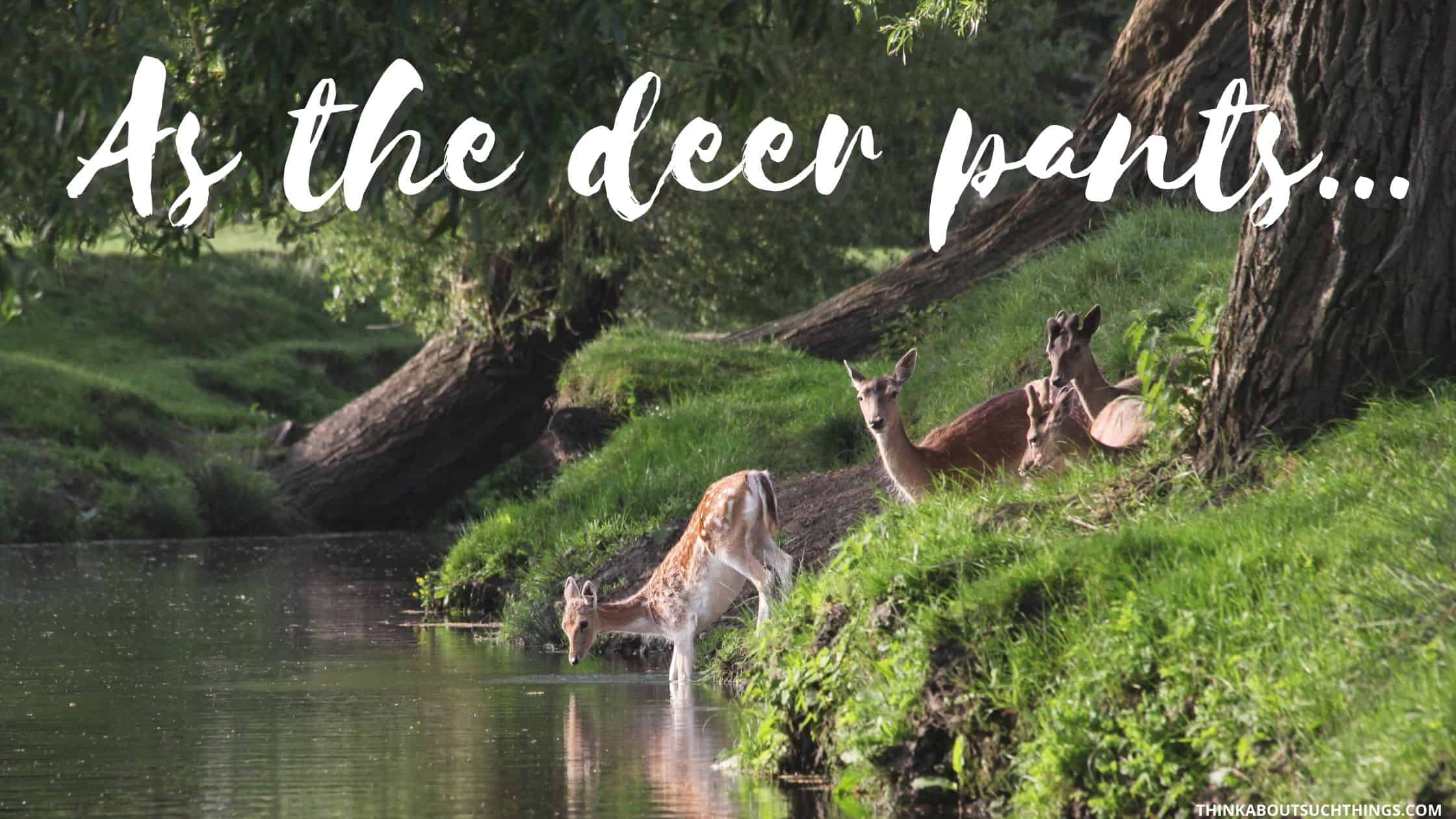 Psalm 42:1 - The Meaning Behind As The Deer Pants | Think About Such Things