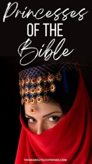 6 Fascinating Princesses Of The Bible | Think About Such Things