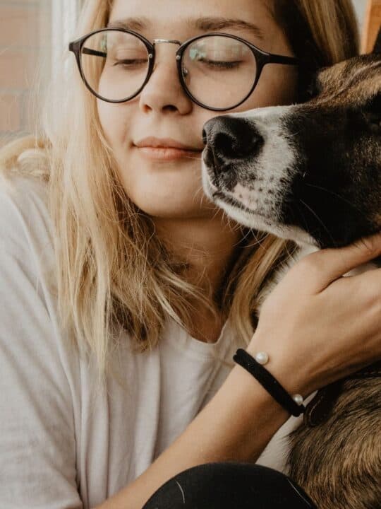 9 Powerful Prayers For Pets | Think About Such Things