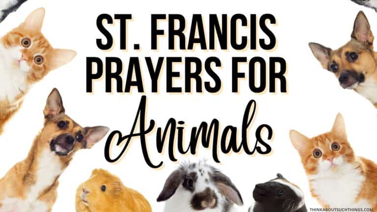 9 Powerful Prayers For Pets | Think About Such Things