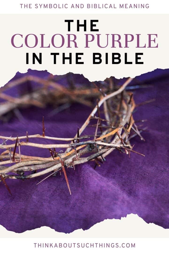 Purple In The Bible: Powerful Symbolism, Meaning And More | Think About ...
