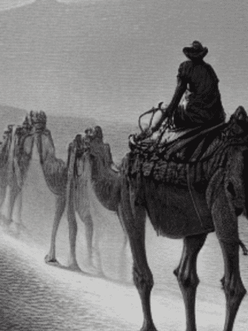 Judge Elon In The Bible: Lessons And Facts | Think About Such Things