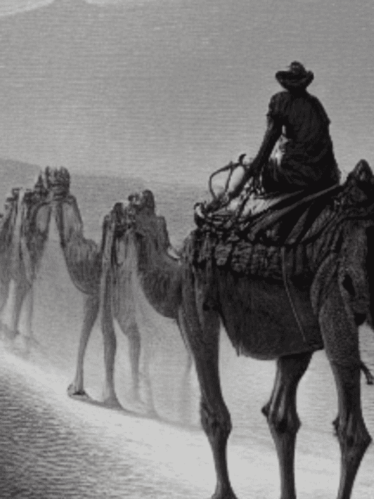 Judge Elon In The Bible: Lessons And Facts | Think About Such Things