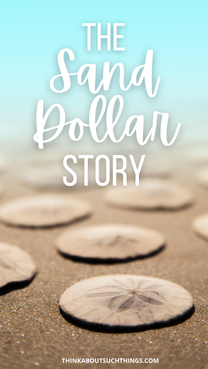 The Sand Dollar Story | Think About Such Things