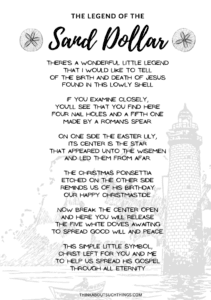 The Sand Dollar Story | Think About Such Things