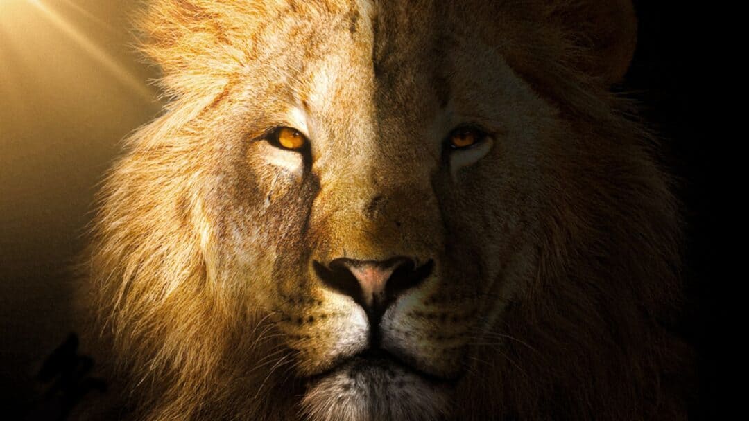 Interesting Bible Verses About Lions | Think About Such Things