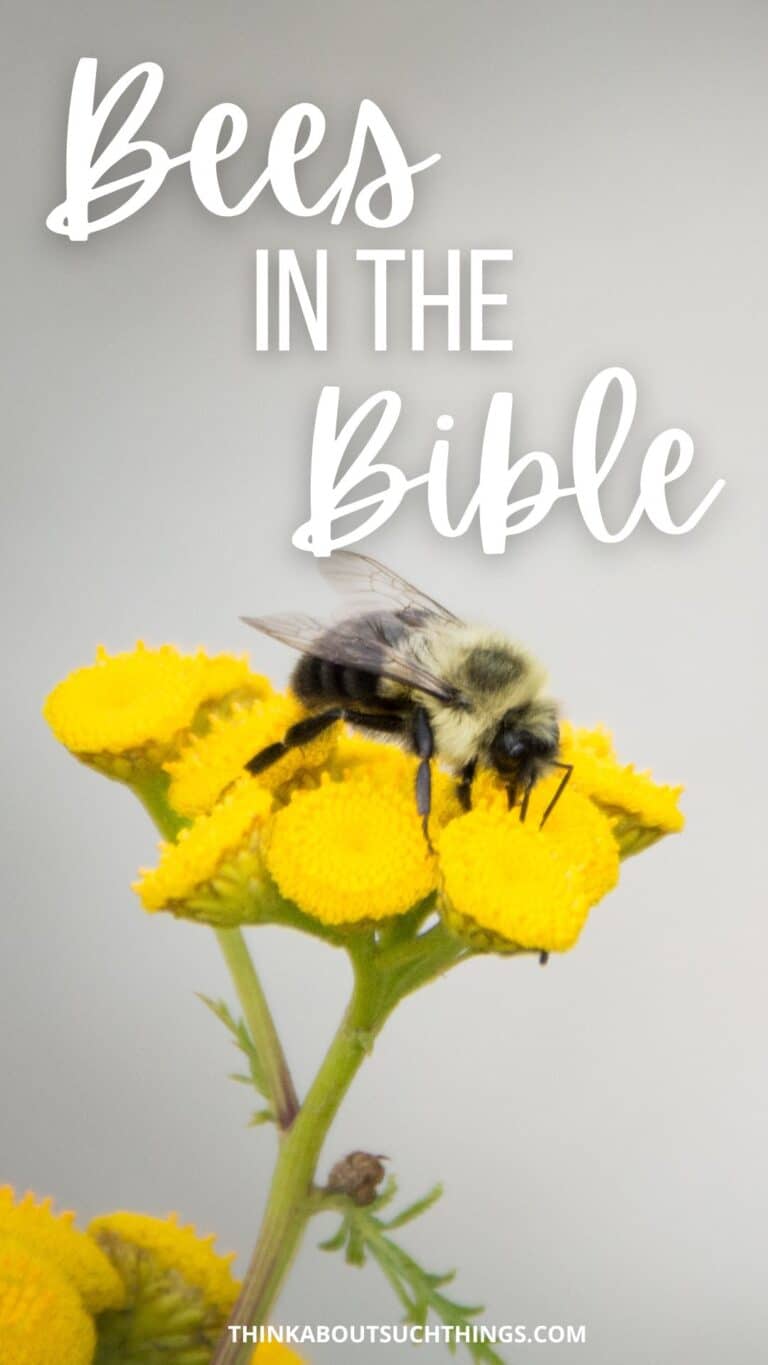 Bees In The Bible: Symbolism, Spiritual Meaning & More | Think About Such Things
