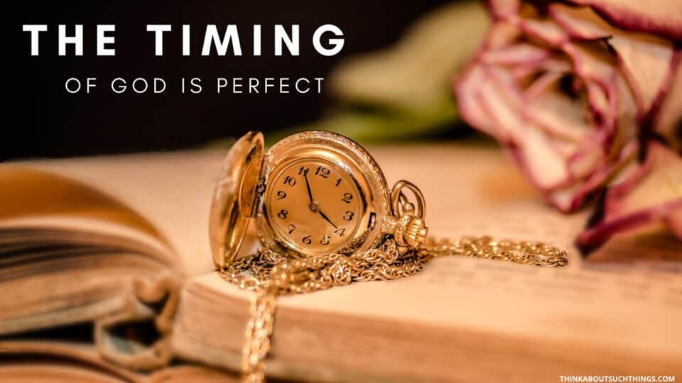 Powerful Lessons From The Life Of Sarah In The Bible | Think About Such ...