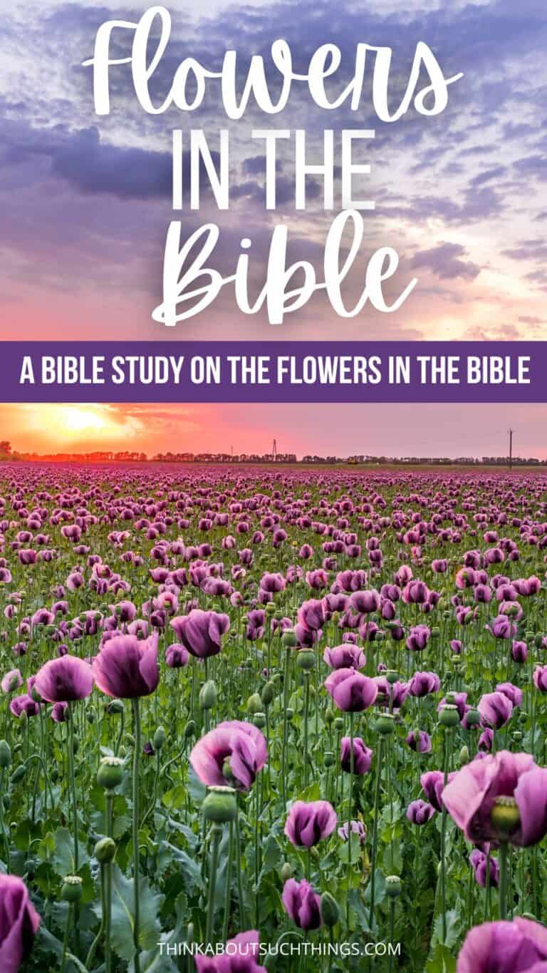 Flowers In The Bible: Symbolism, Meaning, & References | Think About ...