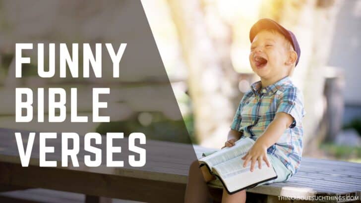 22 Funny Bible Verses That Will Have You Laughing | Think About Such Things