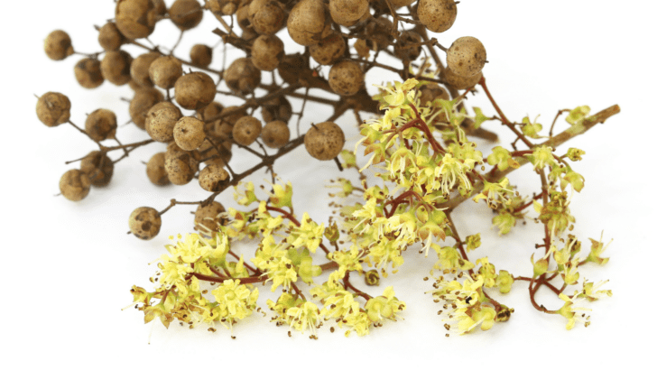 Flowers In The Bible: Symbolism, Meaning, & References | Think About ...