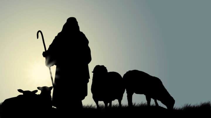 Jehovah Rohi (Raah): A Study On The Lord Is My Shepherd | Think About ...
