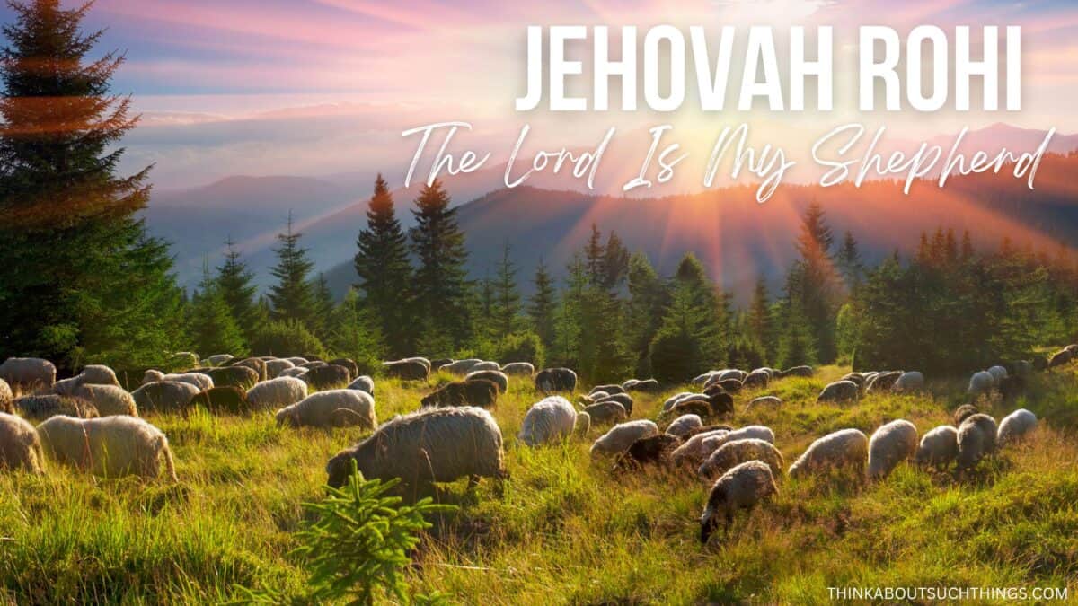 Jehovah Rohi (Raah): A Study On The Lord Is My Shepherd | Think About ...