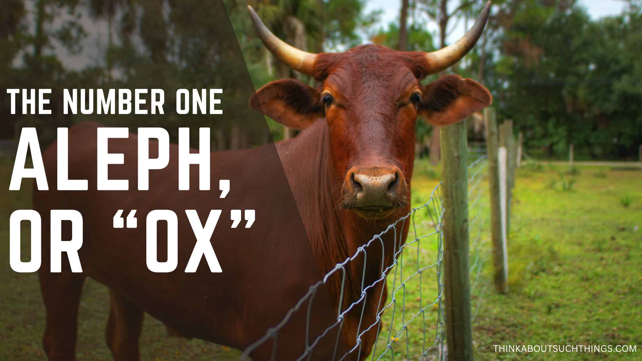 The Biblical Meaning Of The Number 1 | Think About Such Things