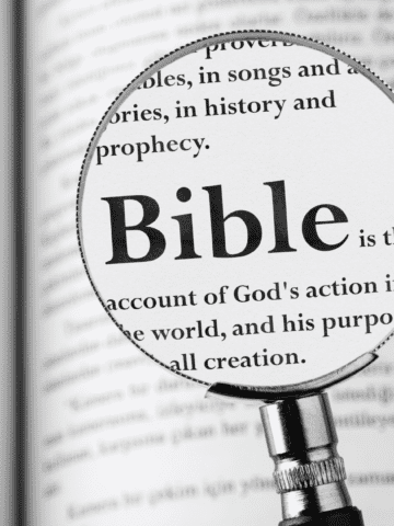 22 Funny Bible Verses That Will Have You Laughing | Think About Such Things