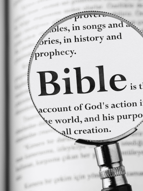 22 Funny Bible Verses That Will Have You Laughing | Think About Such Things