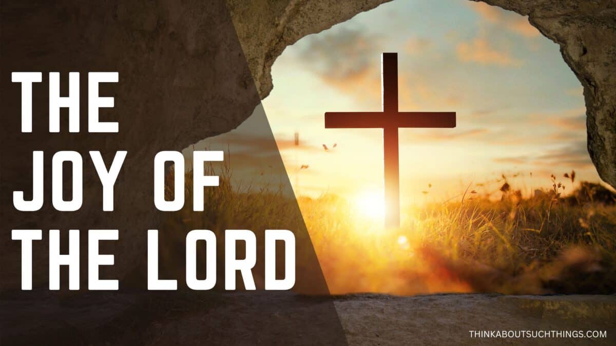 A Powerful Look At The Fruit Of The Spirit: Joy | Think About Such Things