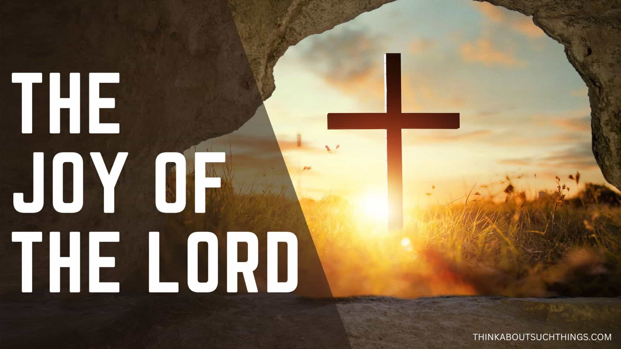 A Powerful Look At The Fruit Of The Spirit: Joy | Think About Such Things