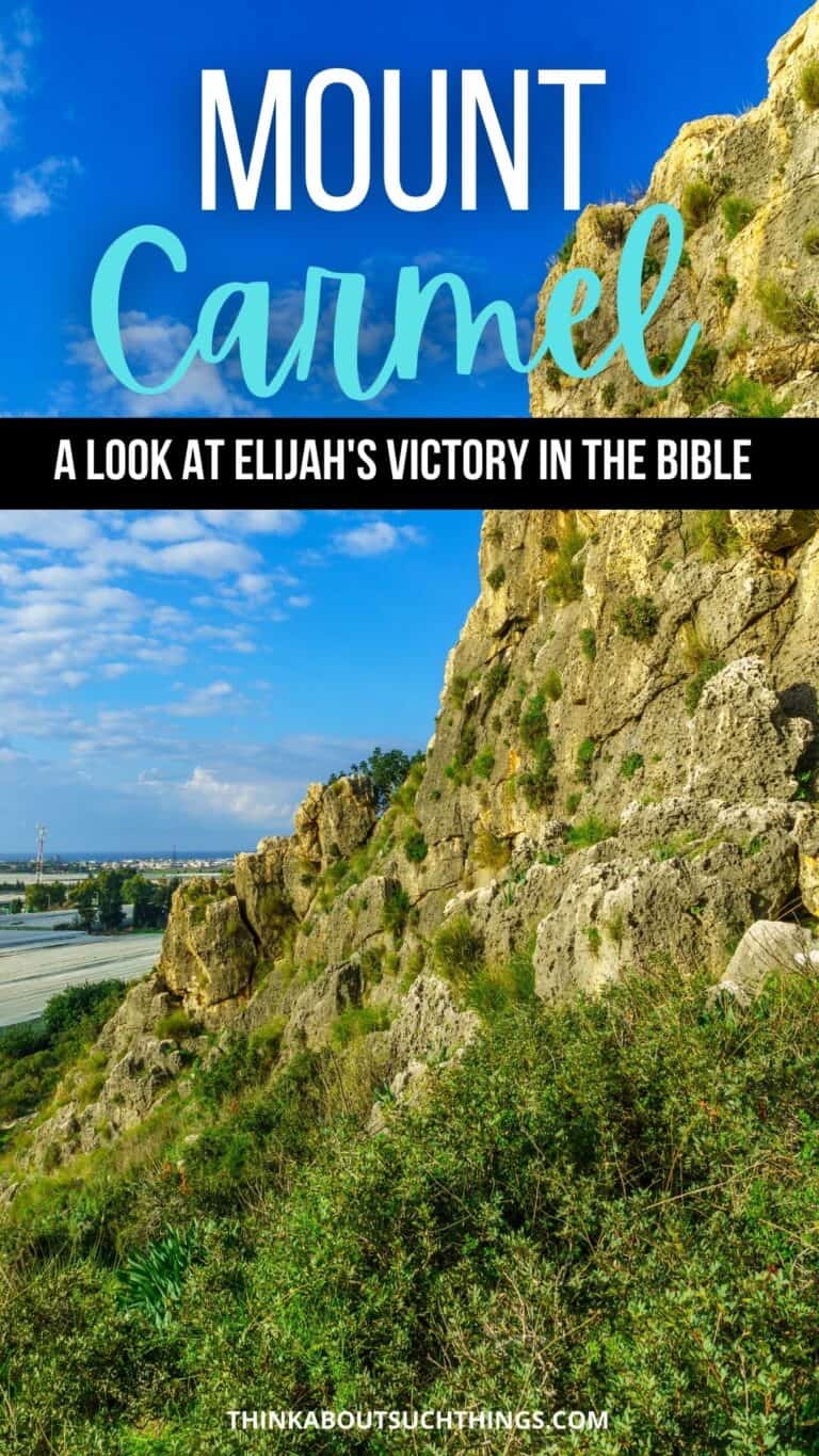 Mount Carmel In The Bible: Elijah’s Victory And 1 Kings 18 | Think ...