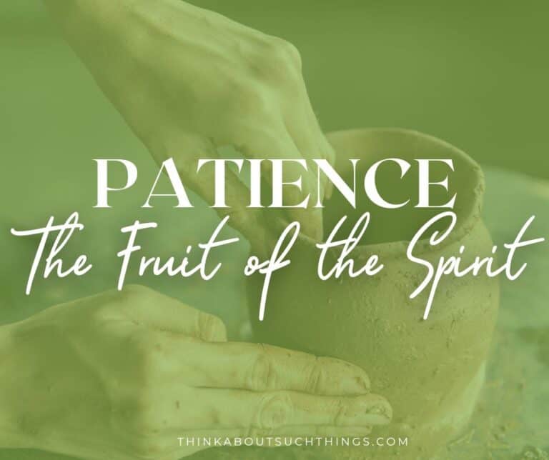 A Powerful Look At The Fruit Of The Spirit: Patience | Think About Such ...