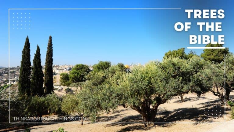 Trees In The Bible: Symbolism And Significance | Think About Such Things