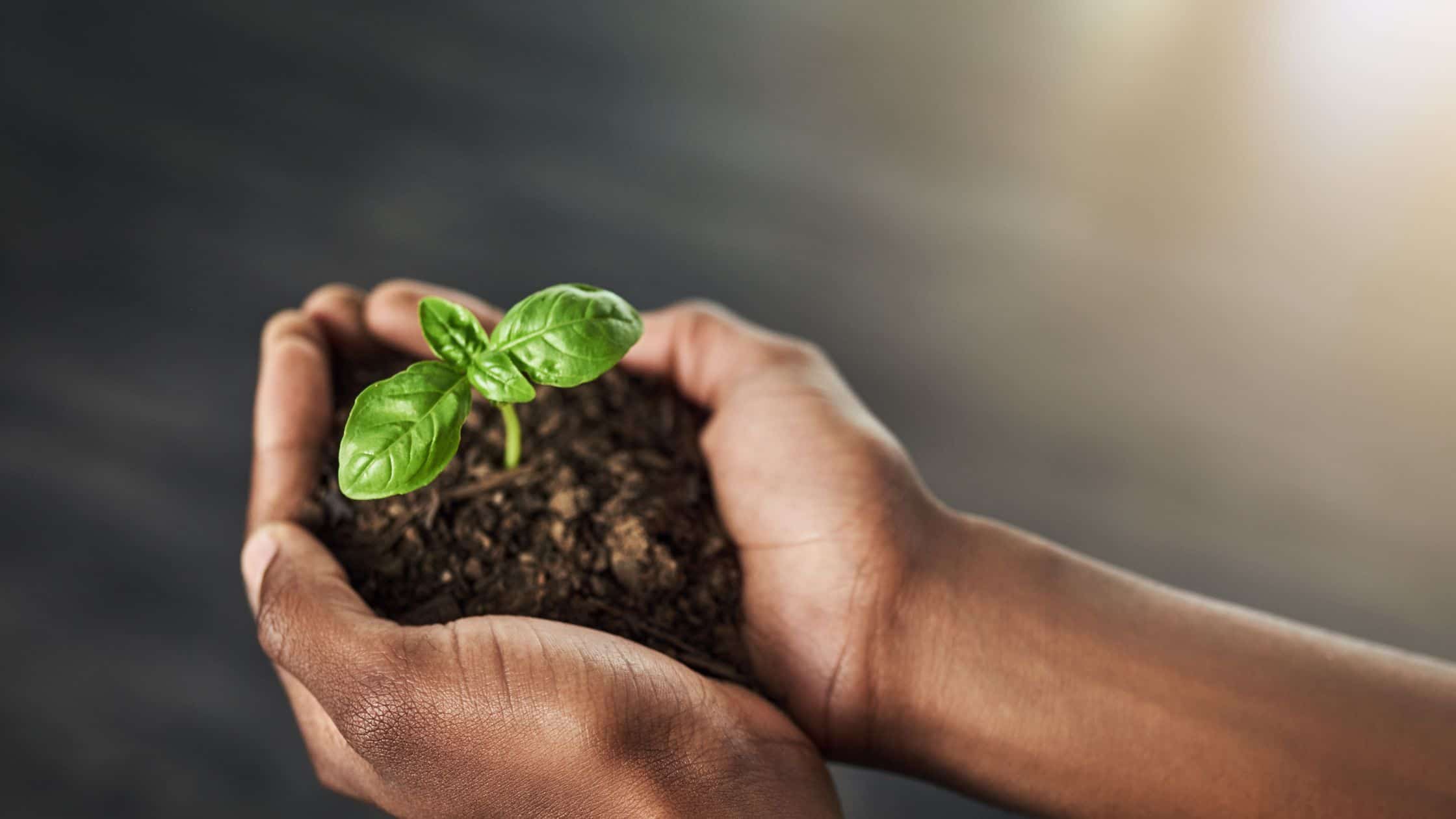 7 Inspiring Bible Stories About Patience You Need To Read | Think About ...