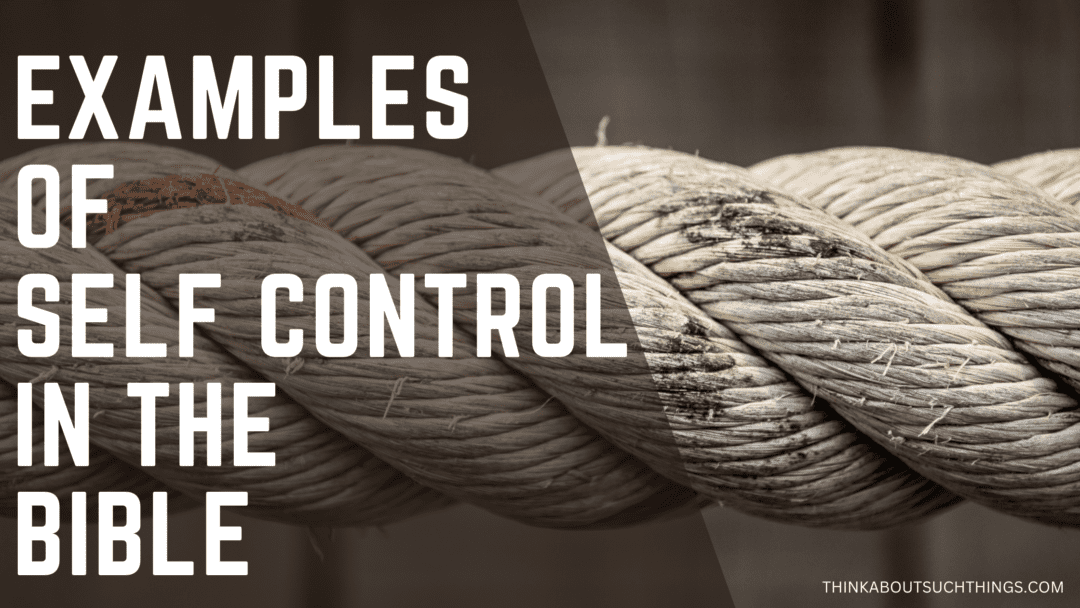 A Powerful Look At The Fruit Of The Spirit: Self-Control | Think About ...
