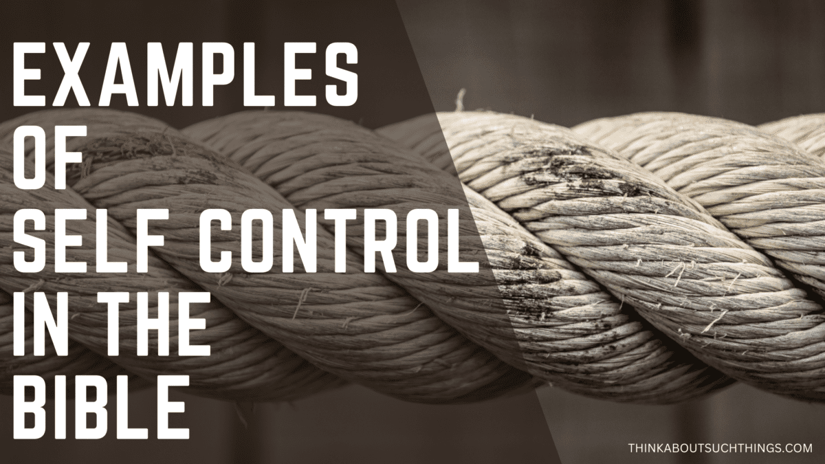 A Powerful Look At The Fruit Of The Spirit: Self-Control | Think About ...