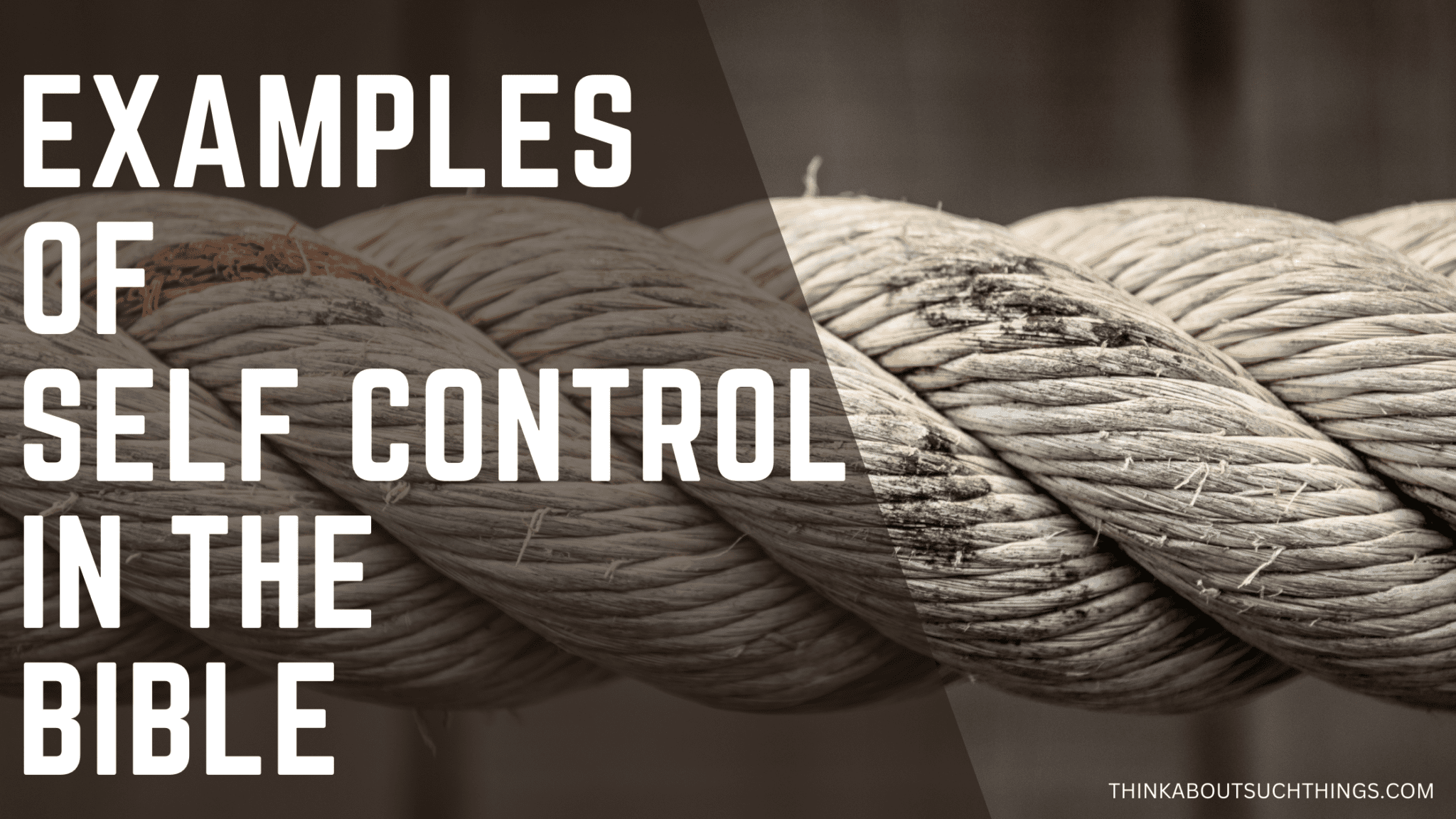 A Powerful Look At The Fruit Of The Spirit: Self-Control | Think About ...